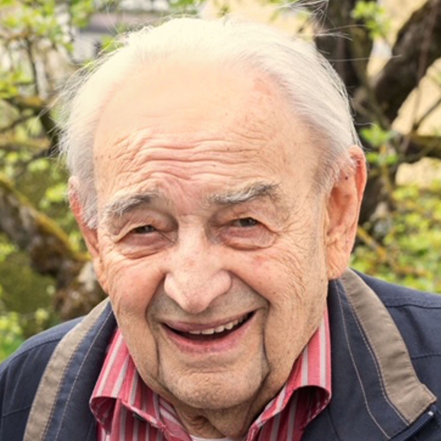 Franz Reiter (88) – Bestattung Bruckner, Wolfern bei Steyr